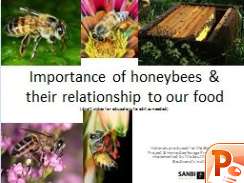 Importance of honeybees & their relationship to our food - Cape Honey ...